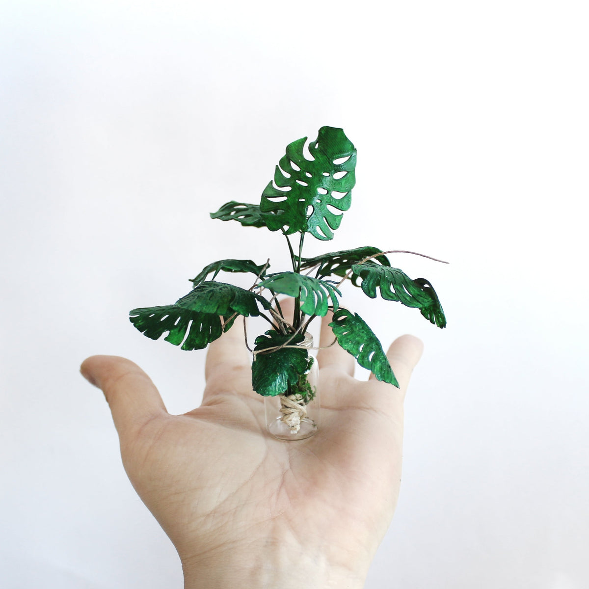 Miniature Monstera Deliciosa – Luxe Miniatures by Phillip Nuveen